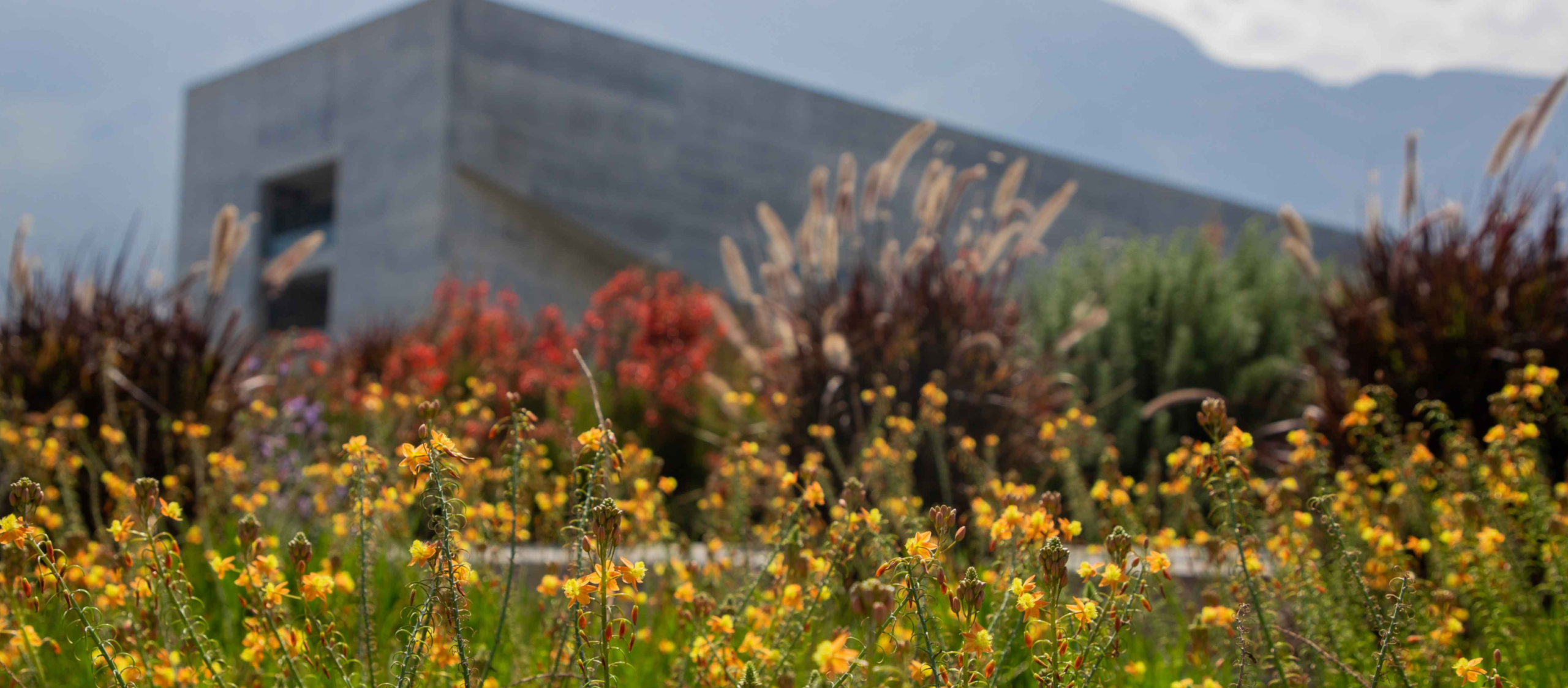 Profesores | UDEM en Casa