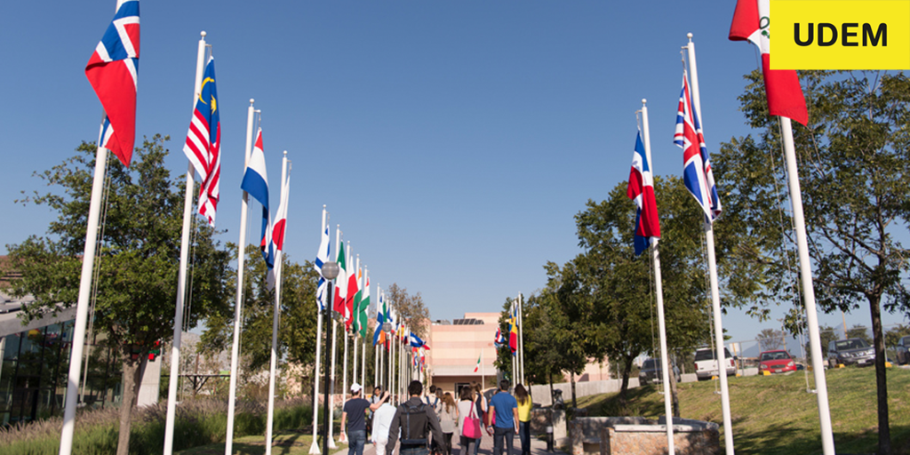 Profesores | UDEM en Casa