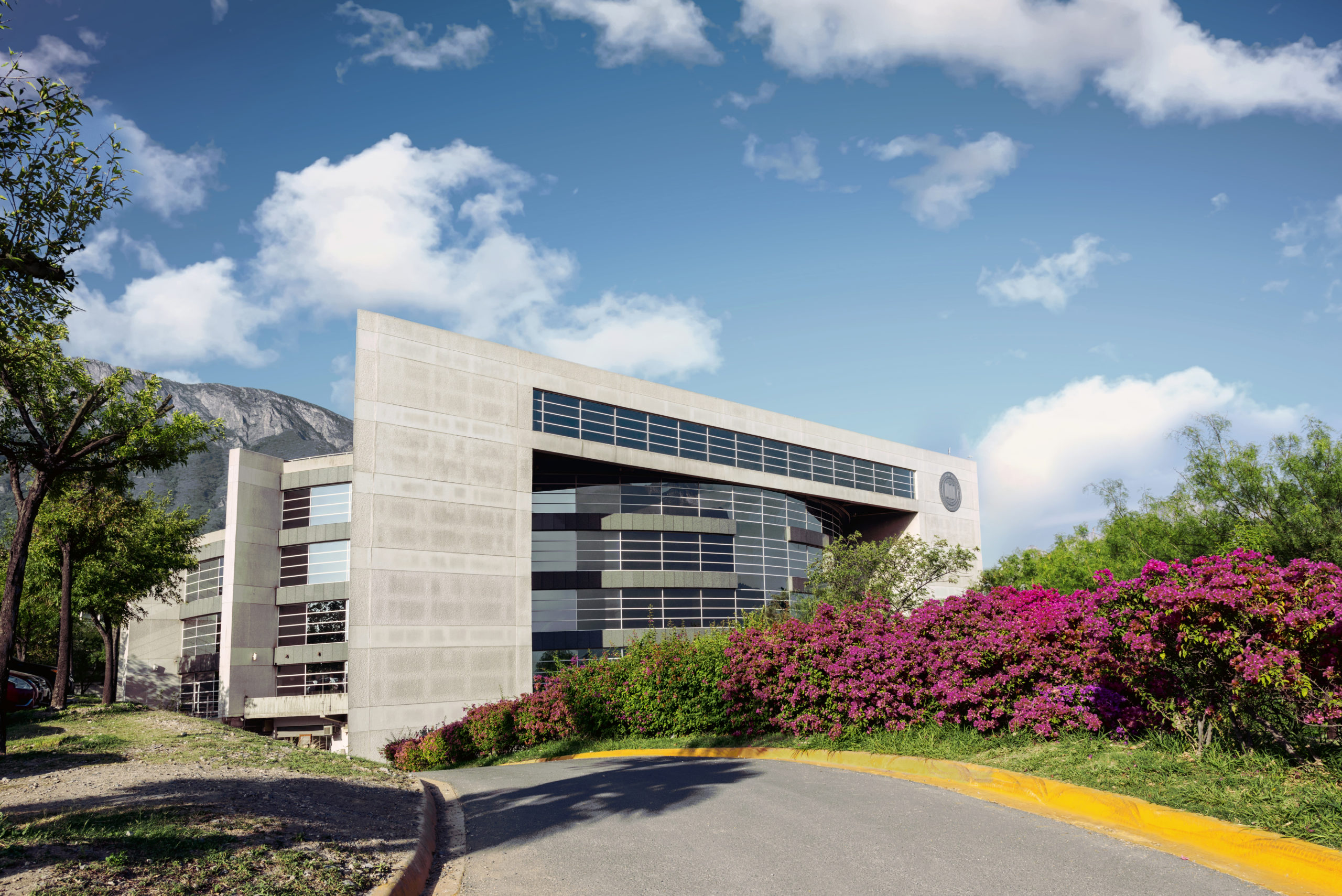 Profesores | UDEM en Casa